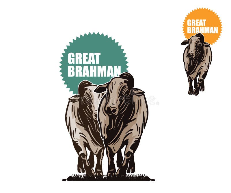 Brahman Cattle Logo 4+ Hundred Brahman Silhouette Royalty Free Images,
