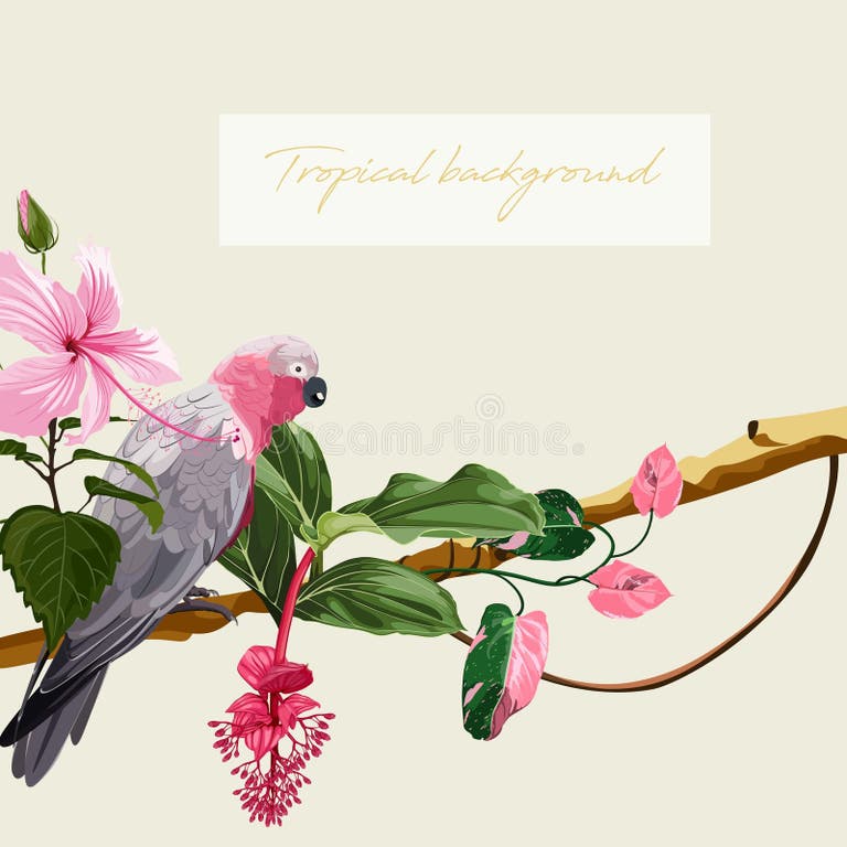 Exotic Pink Parrot with Leaves and Flowers. Beal To Beak. Card Template ...