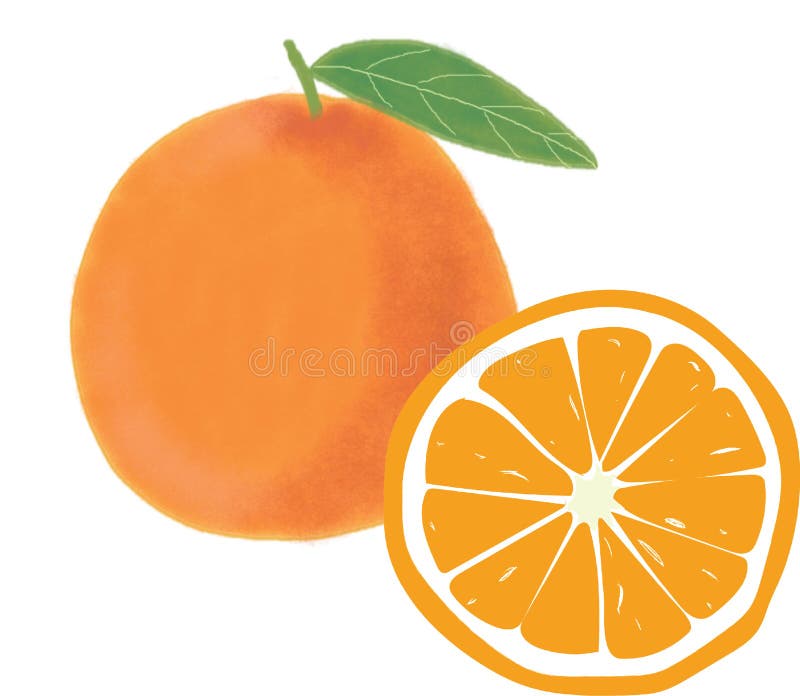 A Drawing of an Orange that Can Be Used To Decorate Your Art. Stock ...