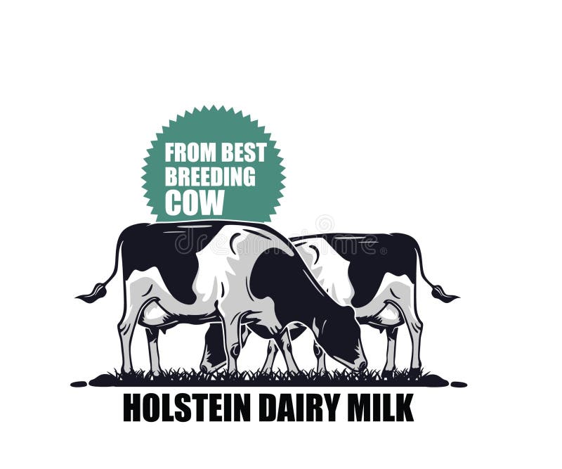 Holstein Dairy Cows Grazing in a Grassy Field Illustration Stock Vector ...