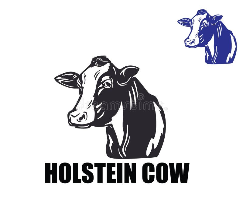 GREAT HOLSTEIN COW HEAD LOGO Stock Illustration - Illustration of label ...