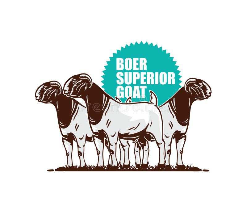 Superior Boer Goat Standing Logo Stock Vector - Illustration of farmer ...