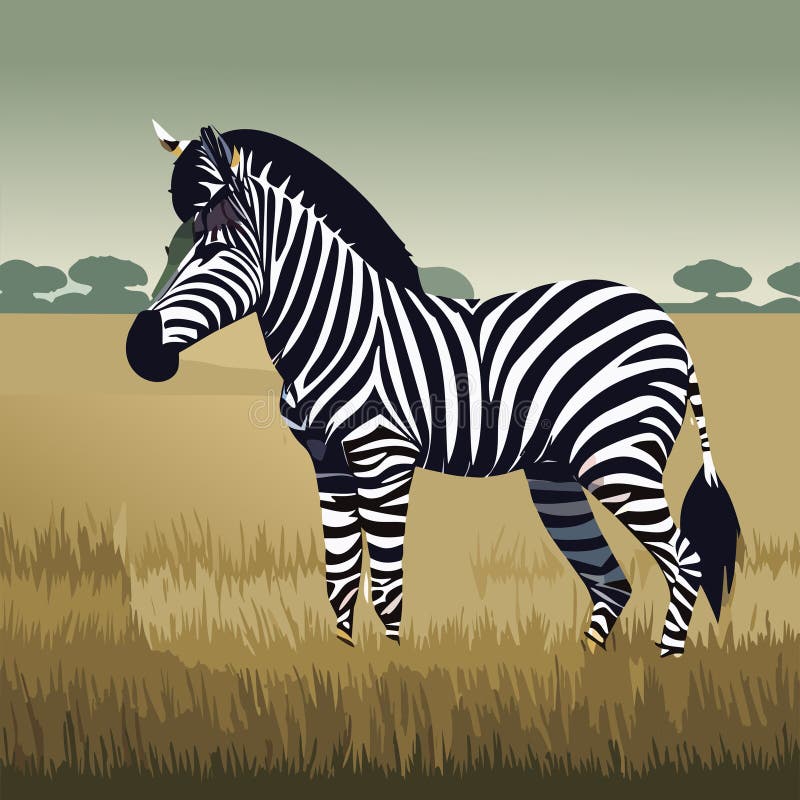 Zebra. Illustration. Zebra in Natural Grass Habitat, Kenya National ...