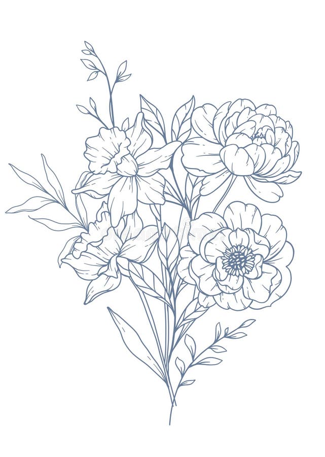 Primrose Flower Line Art. Primrose Outline Illustration. February Birth ...