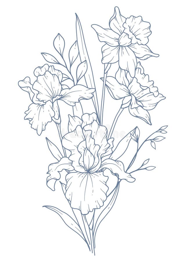 Primrose Flower Line Art. Primrose Outline Illustration. February Birth ...