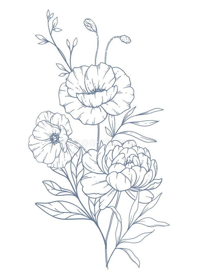 Primrose Flower Line Art. Primrose Outline Illustration. February Birth ...