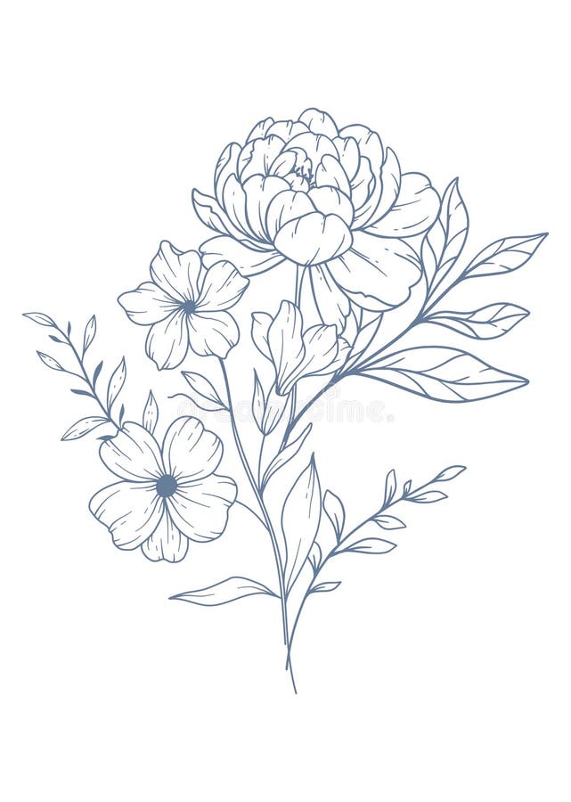 Primrose Flower Line Art. Primrose Outline Illustration. February Birth ...