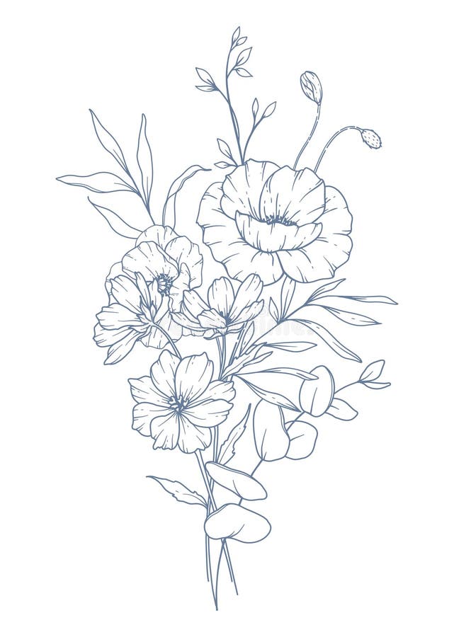 Primrose Flower Line Art. Primrose Outline Illustration. February Birth ...