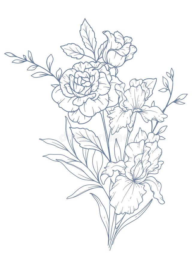 Primrose Flower Line Art. Primrose Outline Illustration. February Birth ...