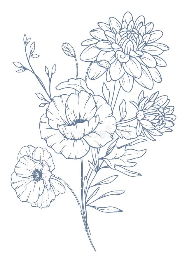 Primrose Flower Line Art. Primrose Outline Illustration. February Birth ...