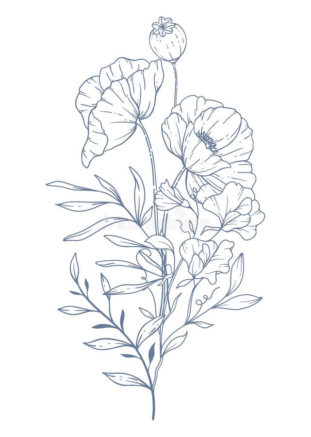 Primrose Flower Line Art. Primrose Outline Illustration. February Birth ...