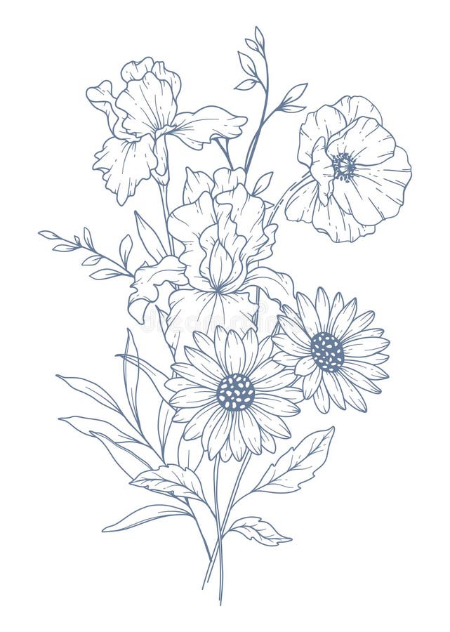 Primrose Flower Line Art. Primrose Outline Illustration. February Birth ...