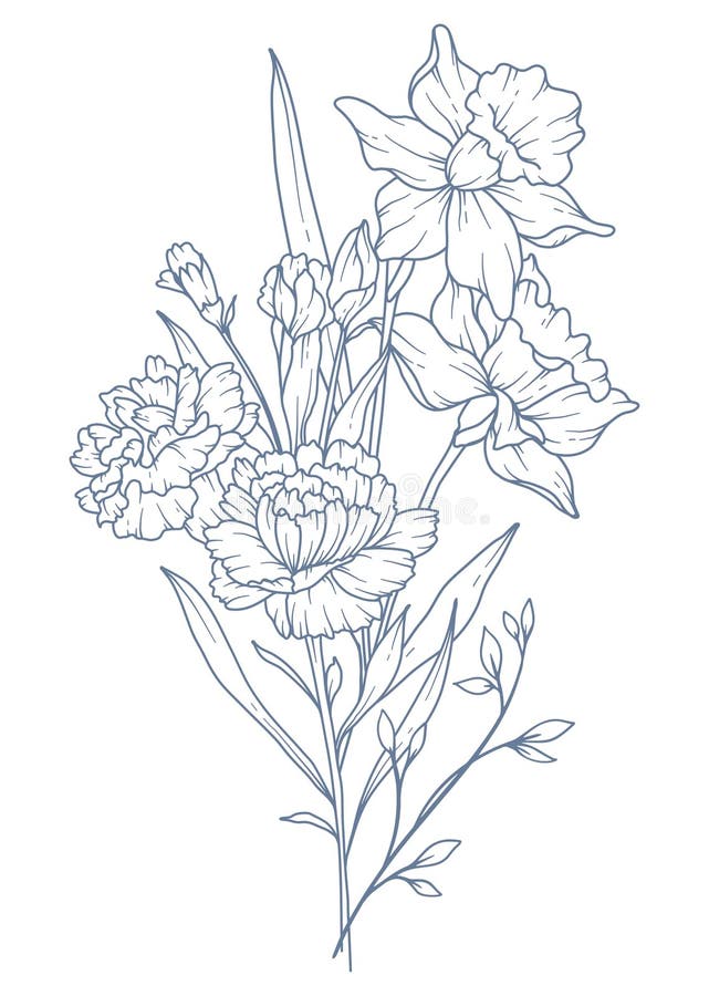 Primrose Flower Line Art. Primrose Outline Illustration. February Birth ...