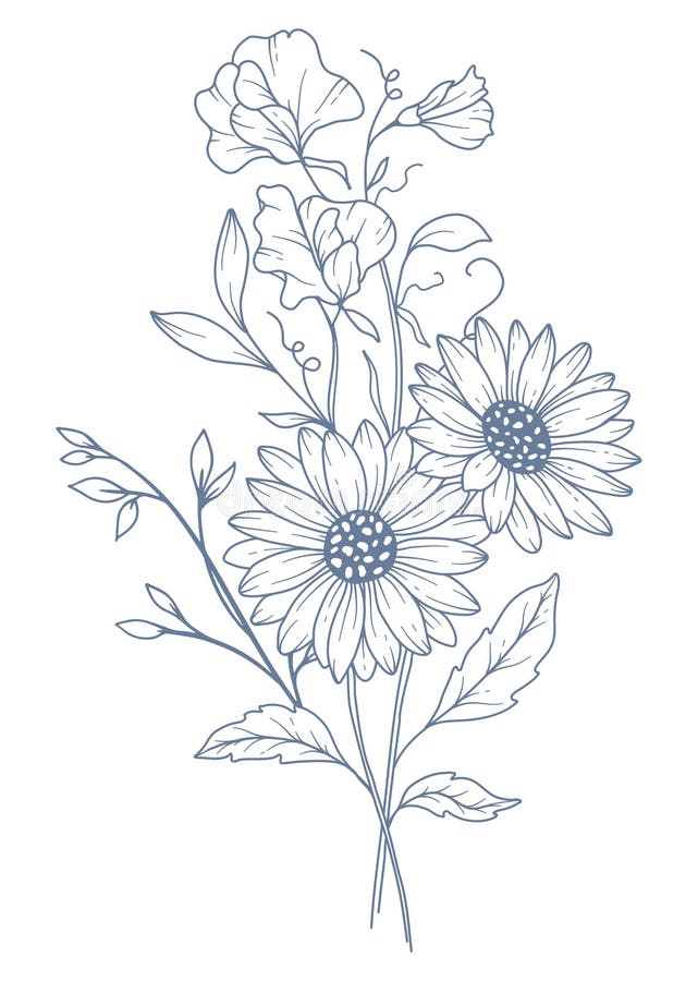 Primrose Flower Line Art. Primrose Outline Illustration. February Birth ...