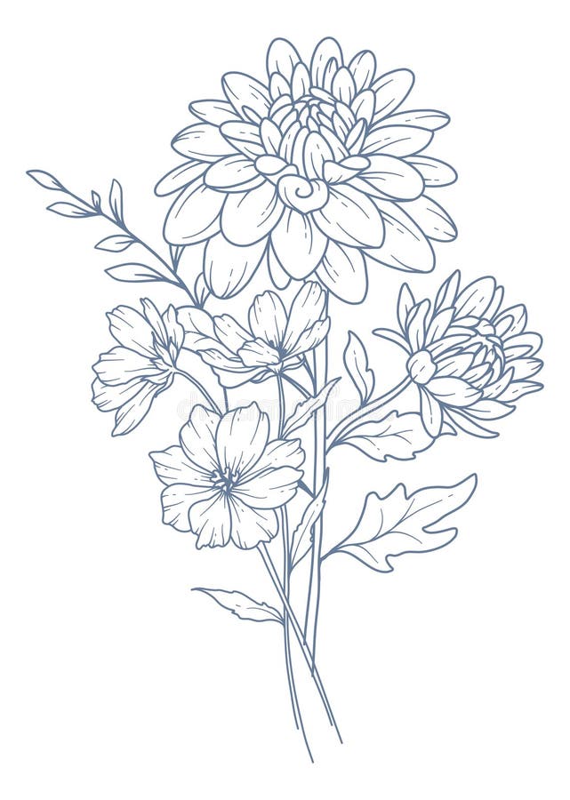 Primrose Flower Line Art. Primrose Outline Illustration. February Birth ...