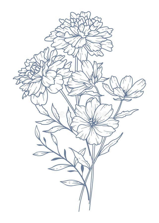 Primrose Flower Line Art. Primrose Outline Illustration. February Birth ...