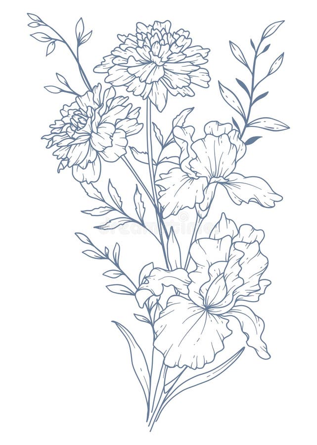 Primrose Flower Line Art. Primrose Outline Illustration. February Birth ...