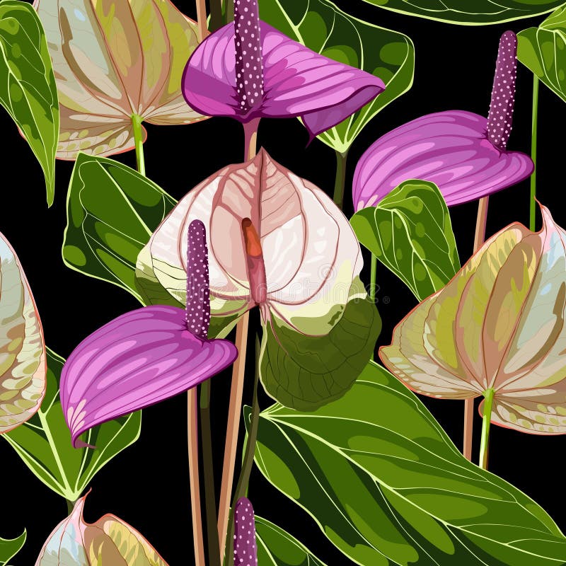 Anthurium. Seamless Floral Pattern with Pink Glossy Flowers and ...