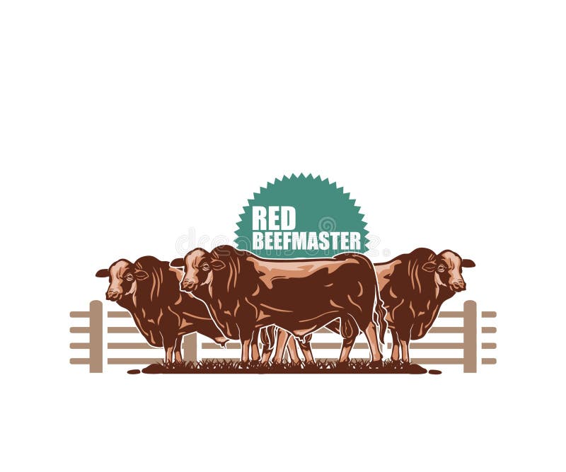 RED BEEFMASTER COW STANDING at RANCH LOGO Stock Vector - Illustration ...