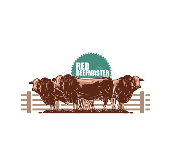 RED BEEFMASTER COW STANDING at RANCH LOGO Stock Vector - Illustration ...