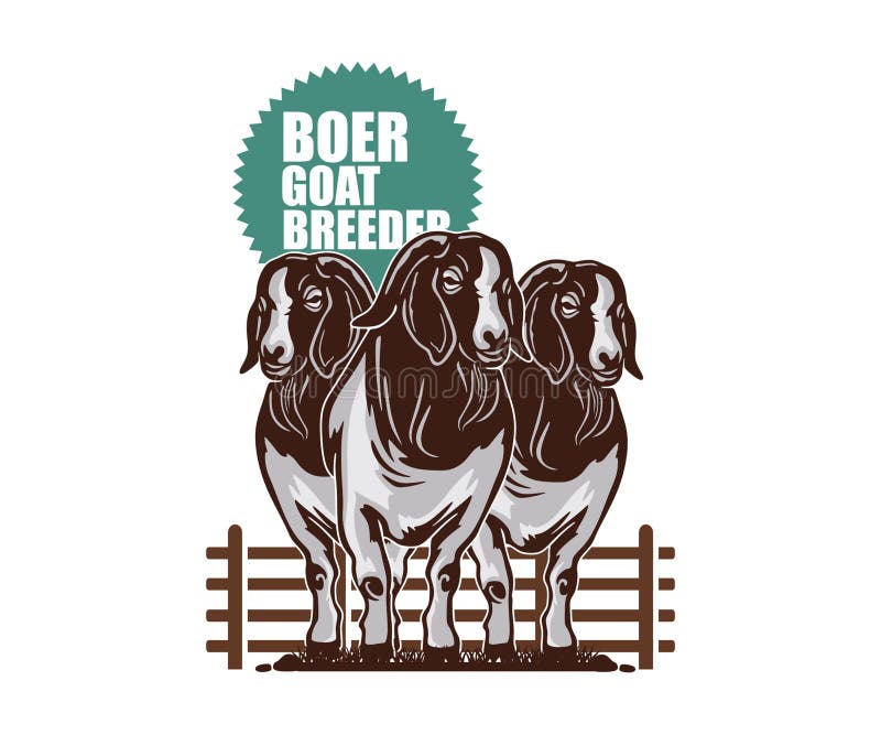 Boer Goat Stock Illustrations – 112 Boer Goat Stock Illustrations ...