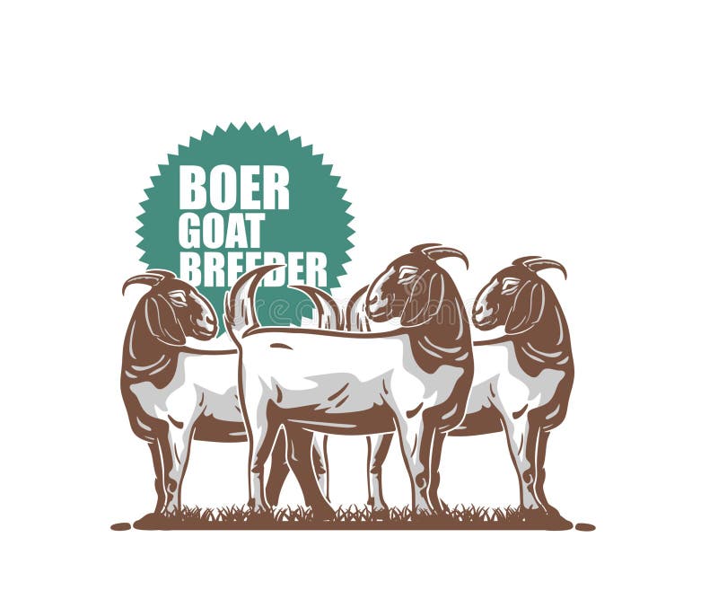 CROSS BOER GOAT FACE POSTER Stock Vector - Illustration of company ...