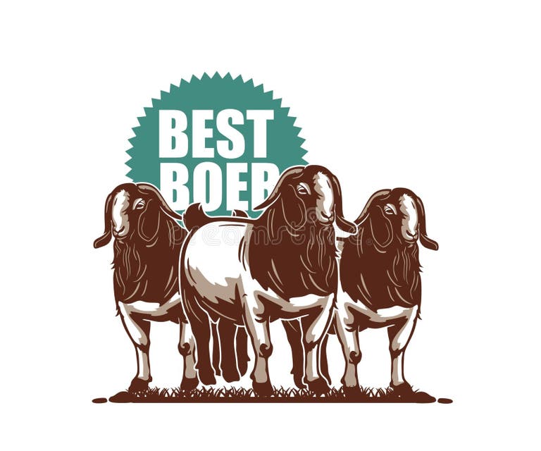 Big and Strong Boer Goat Standing Logo Stock Illustration ...