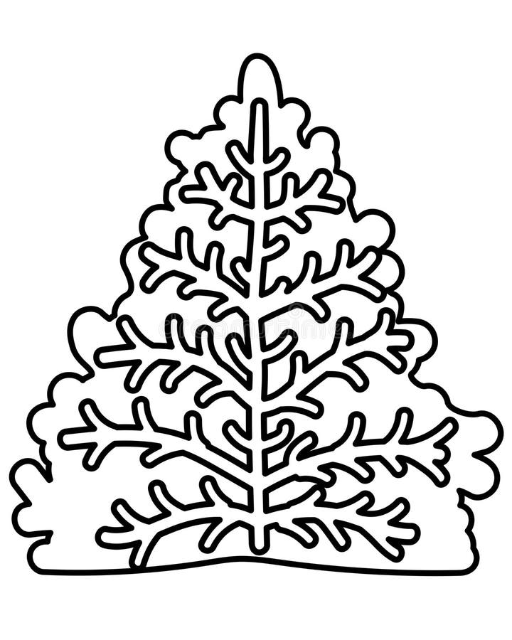 Spruce Stylized, Christmas Tree - Vector Silhouette Picture for a Logo ...
