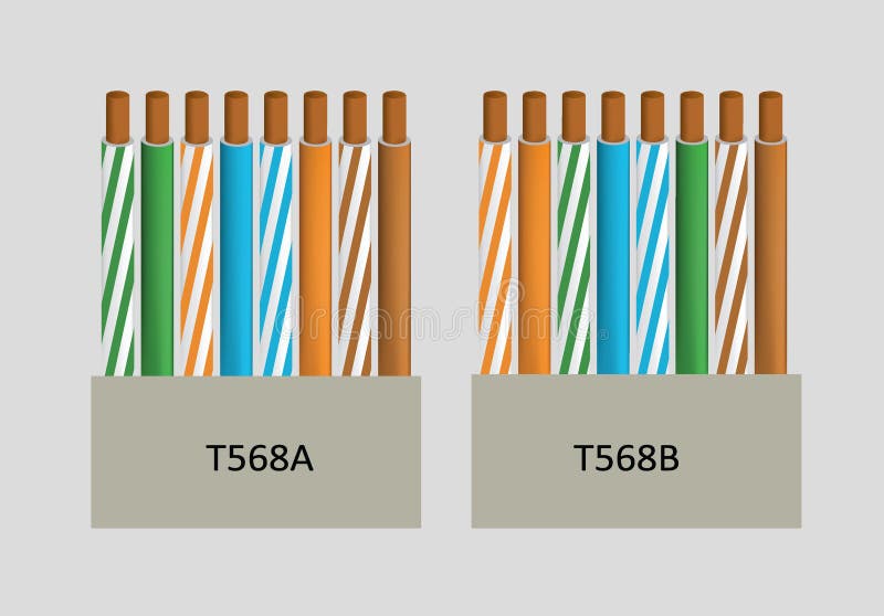 UTP Ethernet Cabling Standards Stock Vector - Illustration of optical ...