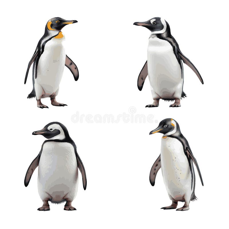 Beautiful Penguin Set Isolated on a White Background Stock Vector ...
