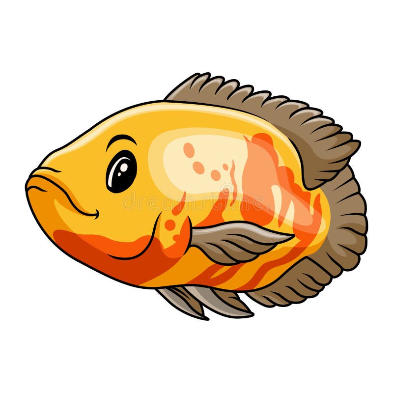 Oscar Fish Cartoon a Swimming Stock Vector - Illustration of oscar ...