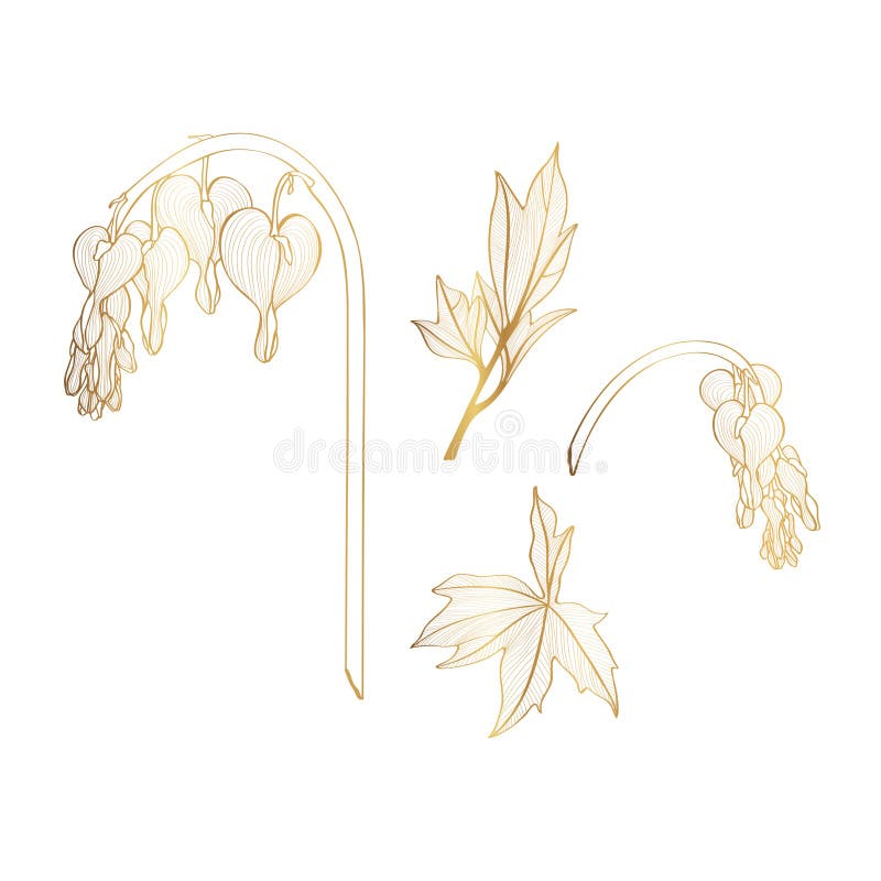 Golden Flowers, Leaves and Herbs Background Illustration. Spring Line ...