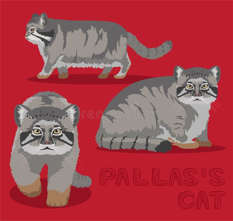 Pallas S Cat Cartoon Vector Illustration Stock Vector - Illustration of ...