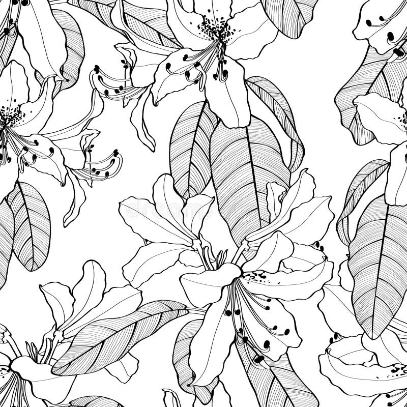 Seamless Pattern with Hand Drawn Rhododendron, Azalea Flowers. Line ...
