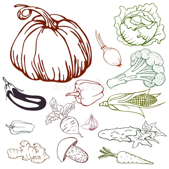 Line Drawing of Various Vegetables for Design and Scrapbooking. Stock ...