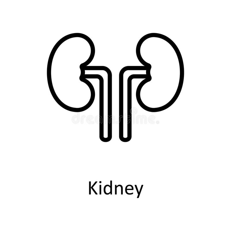 Kidney Vector Outline Icon Style Illustration. EPS 10 File Stock Vector ...