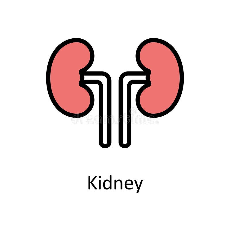 Kidney Vector Filled Outline Icon Style Illustration. EPS 10 File Stock ...
