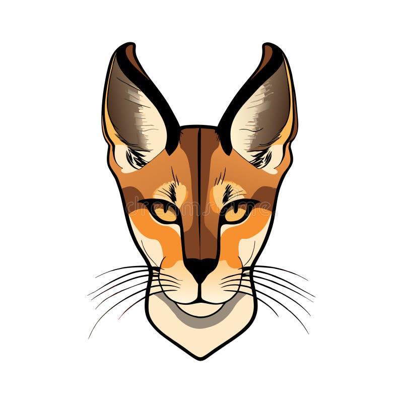 Caracal graphic vector EPS stock illustration. Illustration of painting ...