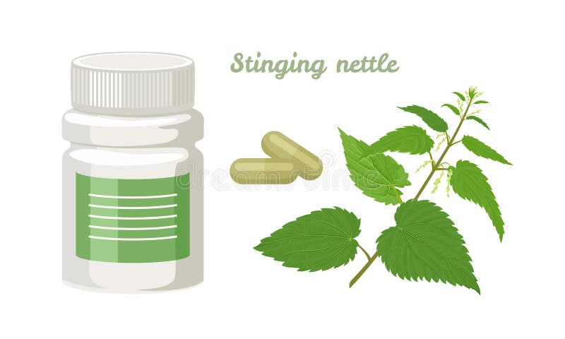 Stinging Nettle Capsules. Bottle of Pills and Green Nettle Plant Stock ...