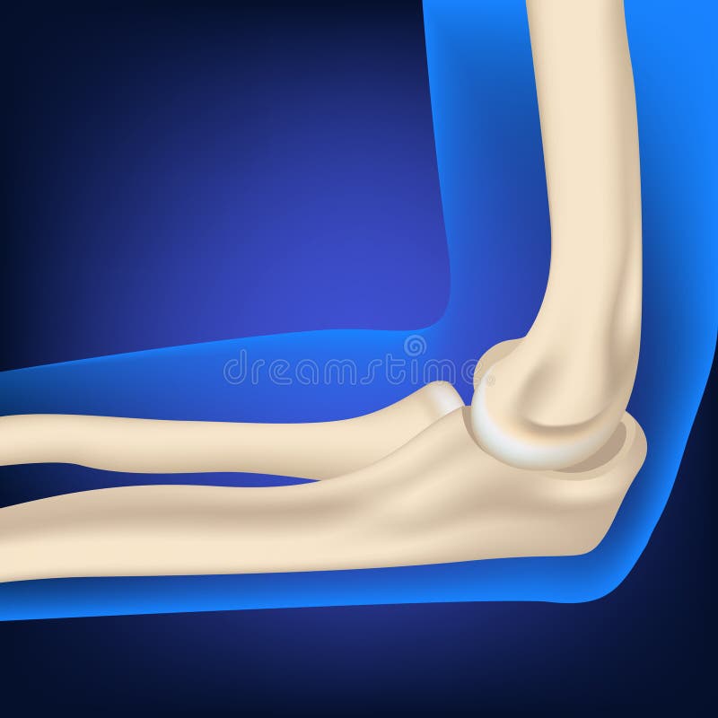 Elbow Joint, Arm Bones on a Blue Background. Medical Design Stock ...