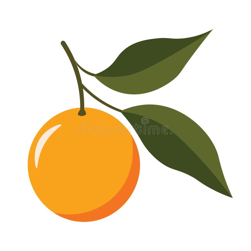 Orange Slice Vector Illustration, Orange Fruit Isolated on White ...