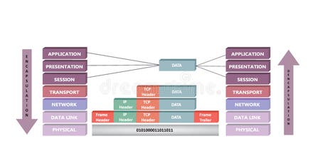 Encapsulation and De Encapsulation Process in OSI Reference Model Stock ...