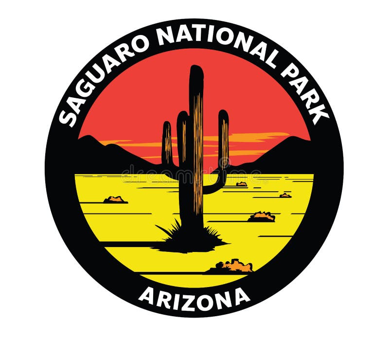 Saguaro National Park Desert Sunset Landscape Cactus Arizona Vector ...