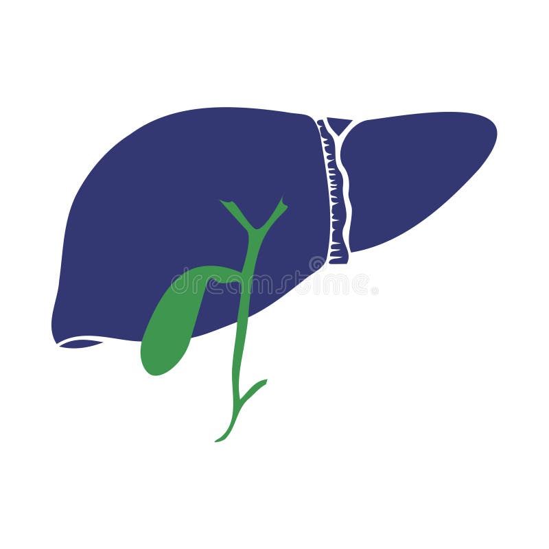 Blue Liver Icon with Gall Bladder. Stock Vector - Illustration of ...