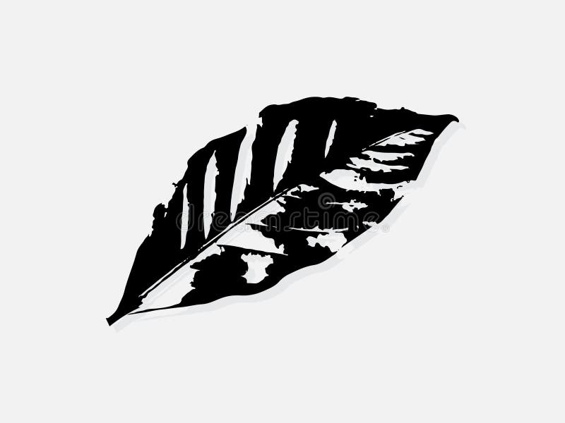 Coffee Leaf Engraving Vector Illustration. Scratch Board Style ...