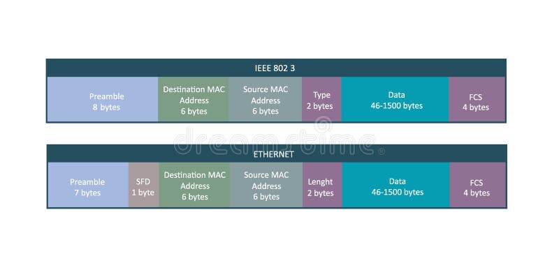 Two Standard Types of Ethernet Frame Stock Vector - Illustration of ...