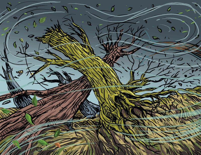 Illustration of the Strong Winds Collapse the Trees in Dark and Cloudy ...
