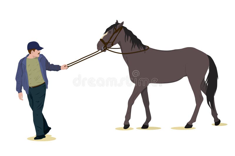 Reins Stock Illustrations – 1,231 Reins Stock Illustrations, Vectors ...