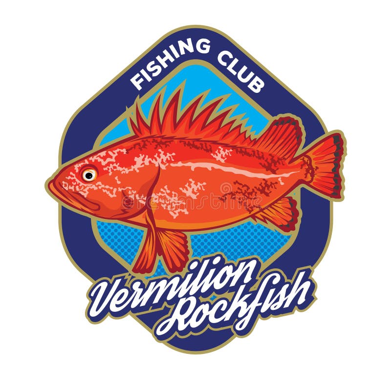 Rock Fish Vector Illustration for Fishing Club Logo Design Stock Vector - Illustration of doodle ...