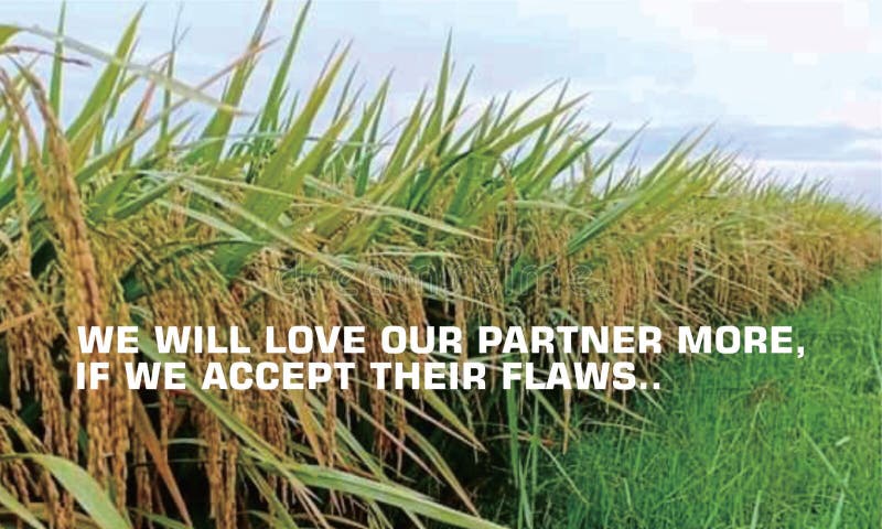 Positive Wisdom about Our Partners Stock Image - Image of paddy ...